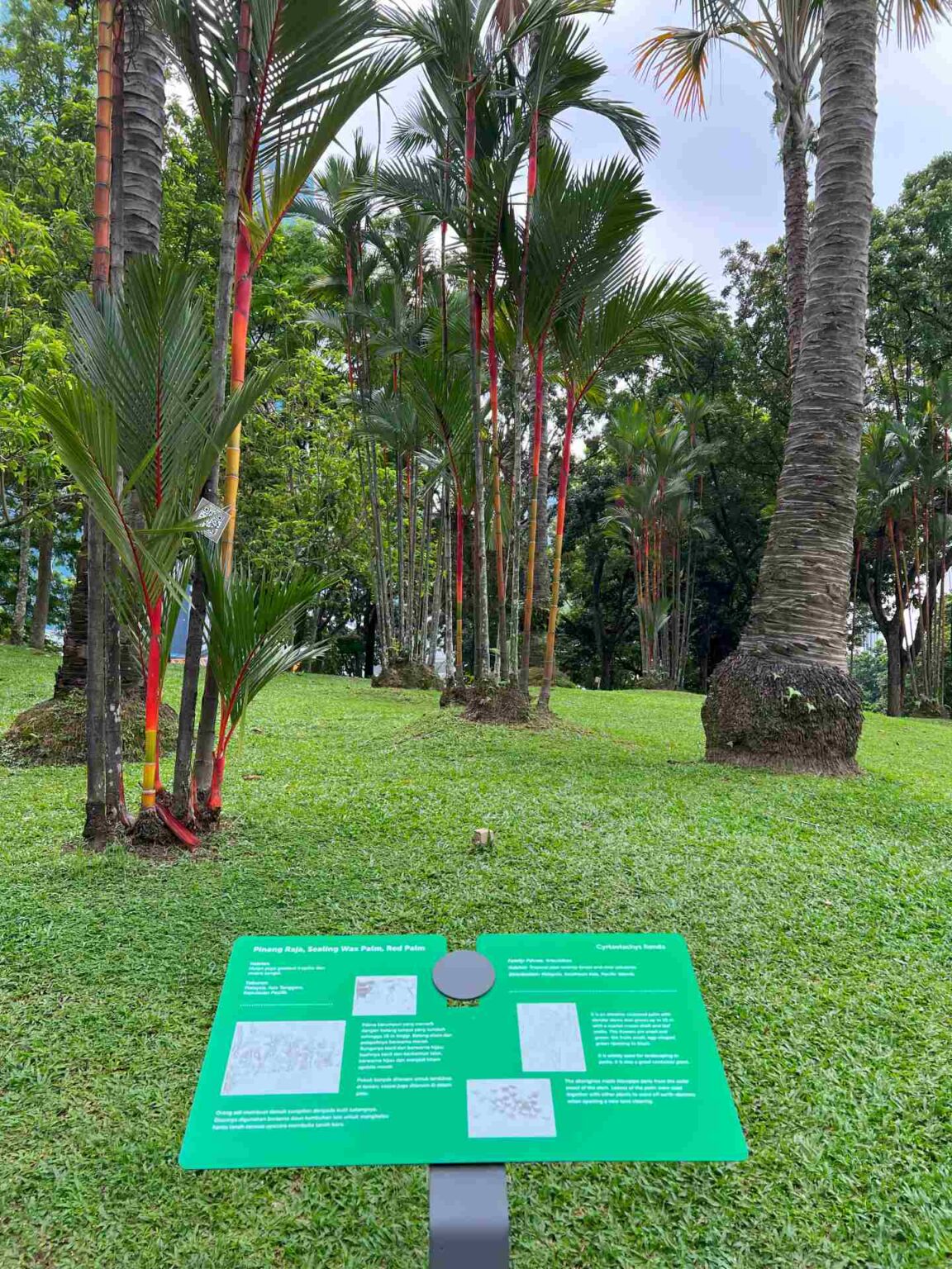 KLCC for Kids: Best Things to Do, Eat & Explore (2026 Family Guide ...